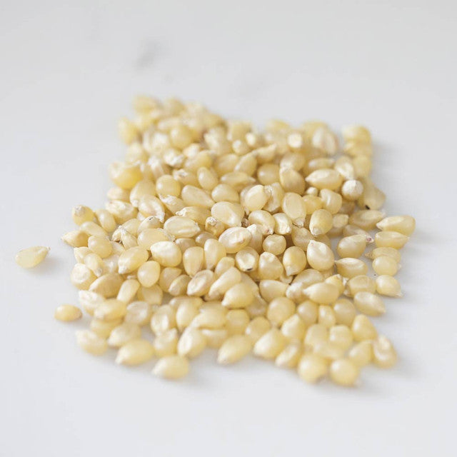 Amish Popcorn, Medium White Hulless, 16 oz. – Main Street Co.